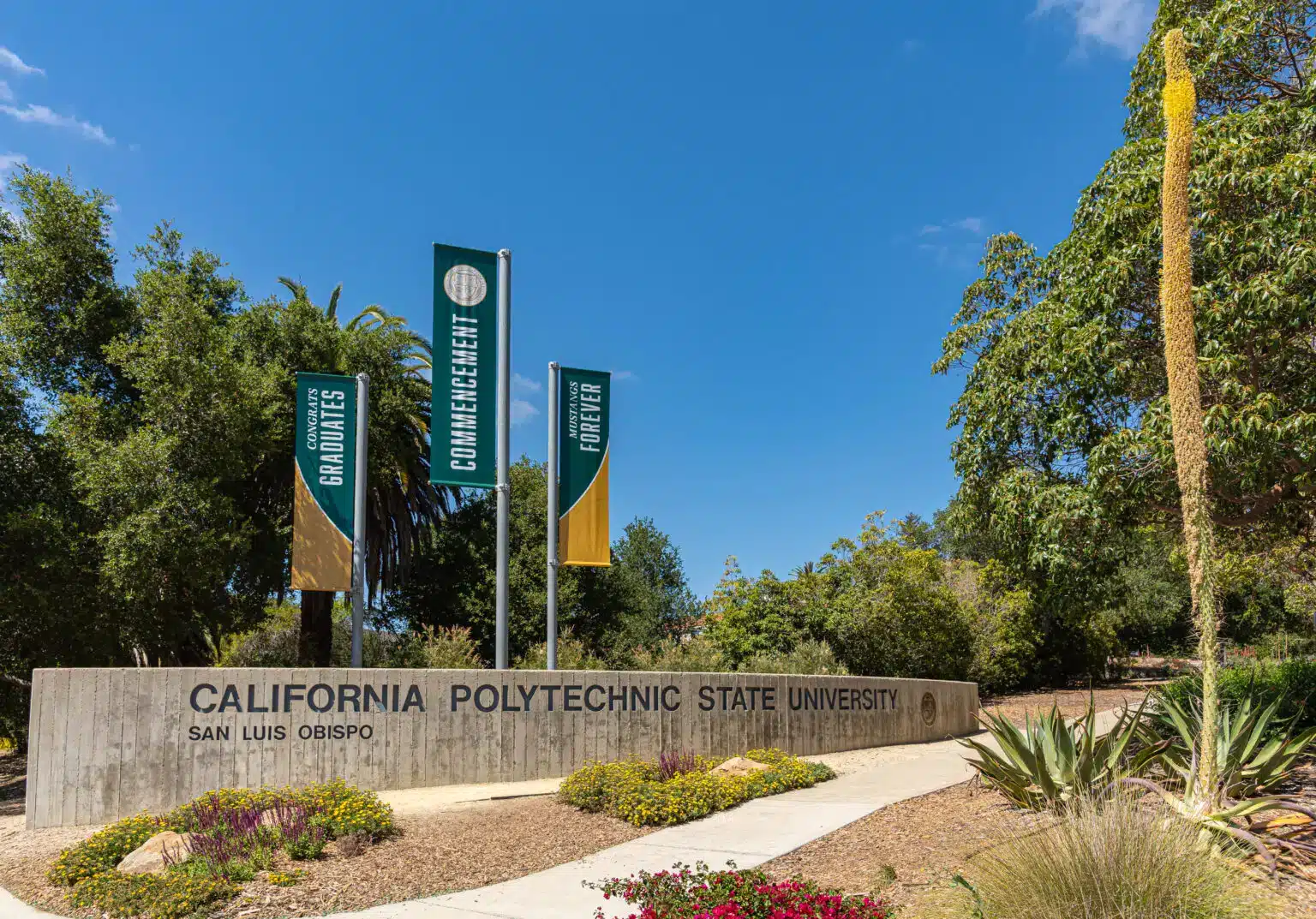 Cal Poly 5G Ribbon-Cutting: Power of Partnerships | Taqtile